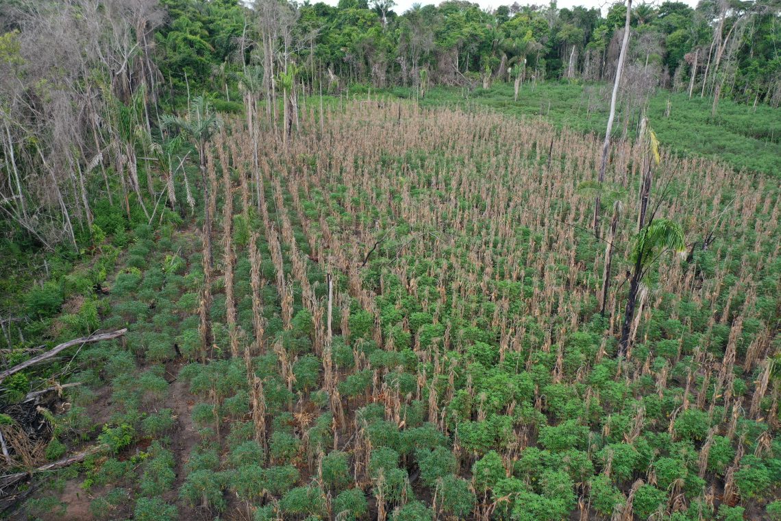 CIR: SERRA DA LUA É MAIS UMA DAS REGIÕES QUE SE DESTACA EM SUA PRODUÇÃO ...